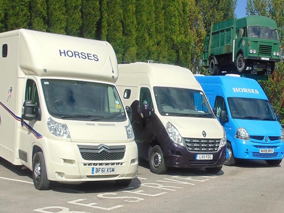 Second Hand Horseboxes For Sale - Ruby Rose Horseboxes